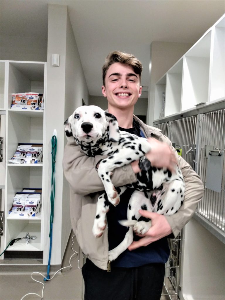 Mission Statement | Medical Lake Veterinary Hospital